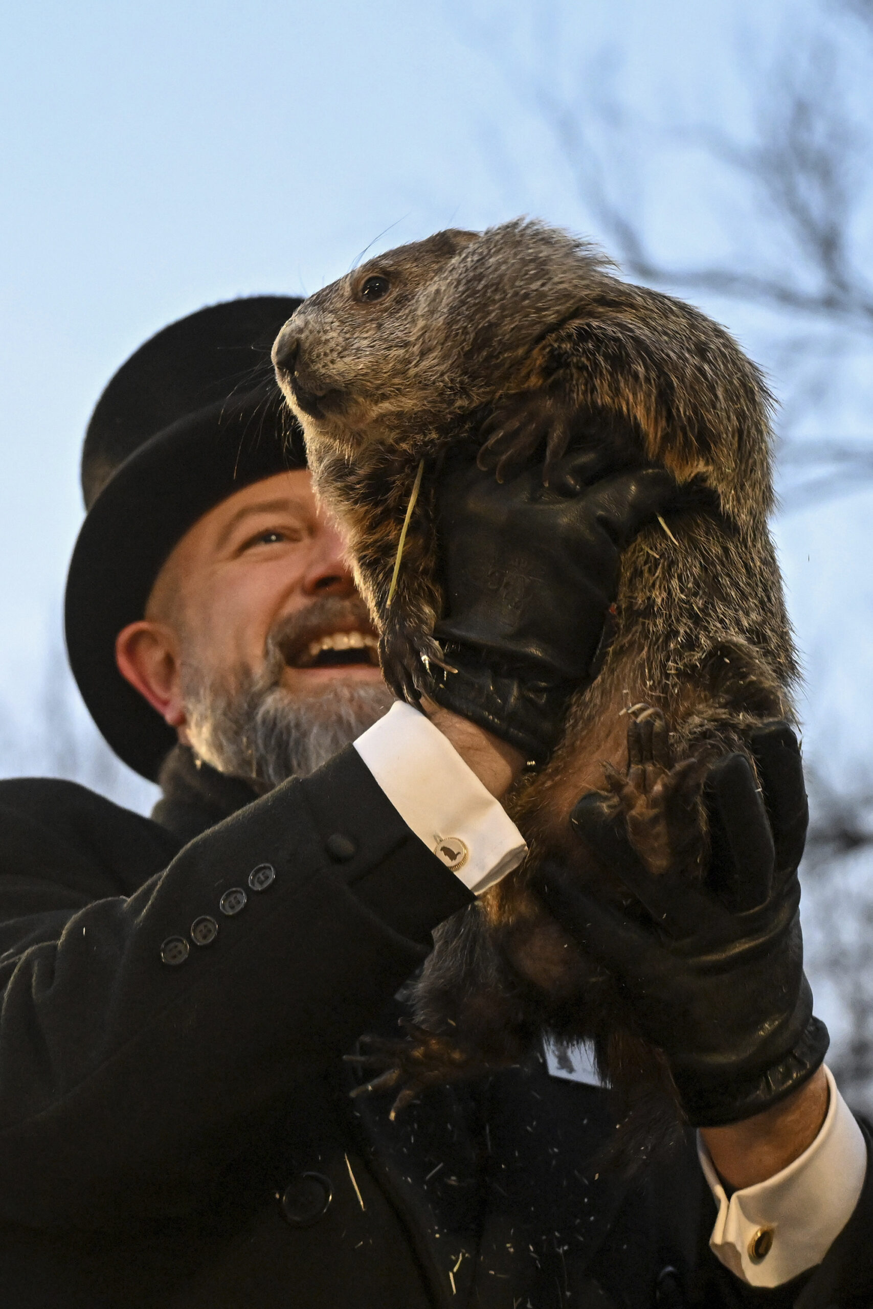 Dave predicts early spring; Phil sees more winter | News, Sports, Jobs ...